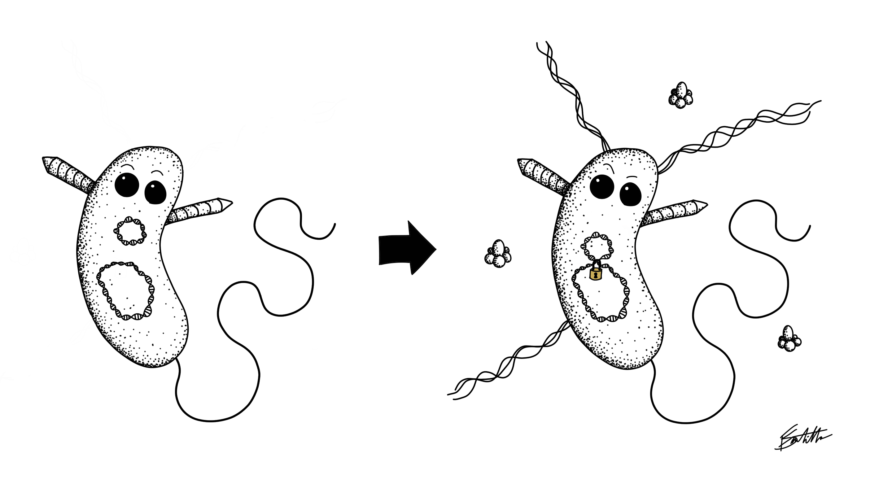 City College scientists provide new insights into cholera microbe and ... City College scientists provide new insights into cholera microbe and ...