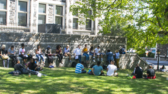 The City College of New York