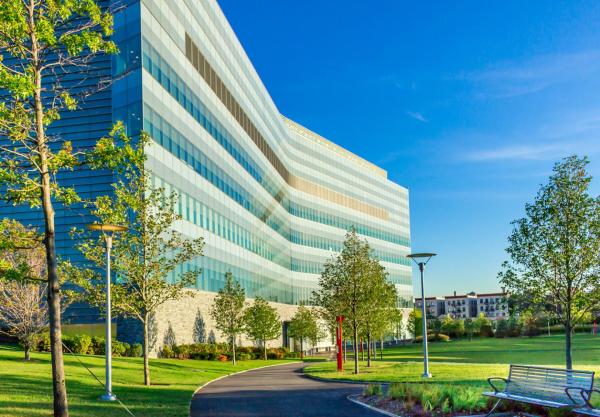 20932701554_dcd4b9a511_b.jpg | The City College of New York