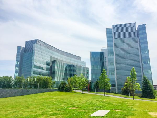 CDI | The City College of New York