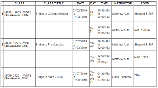 bridgeclasses_wi19.png | The City College of New York