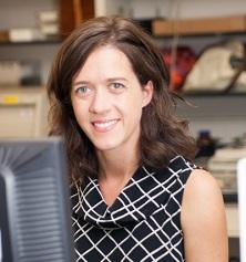 Stephanie DeVries | The City College of New York