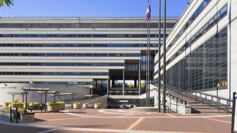 Why Humanities and the Arts? | The City College of New York