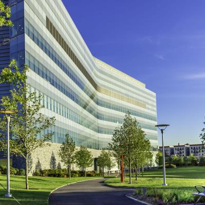 The Division of Science