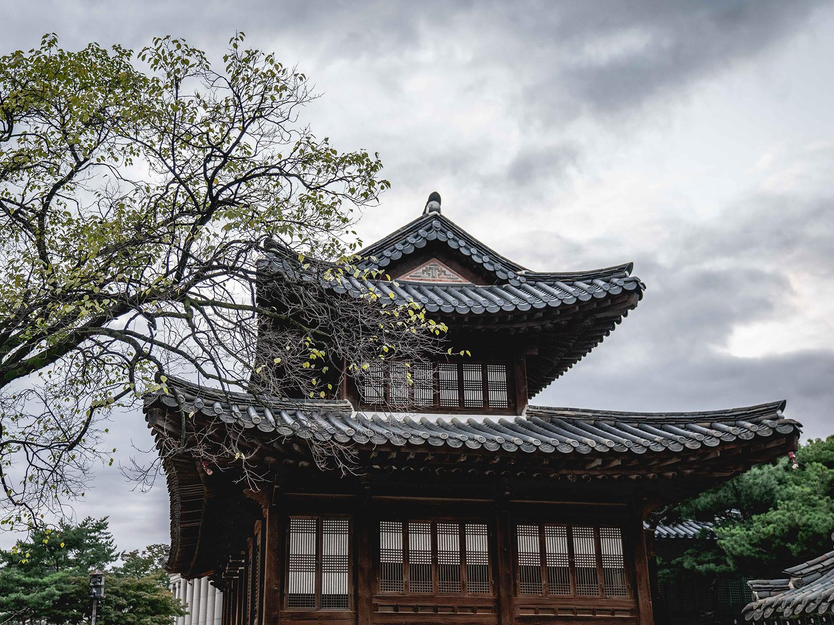 Summer Program | Wonju, South Korea | The City College of New York